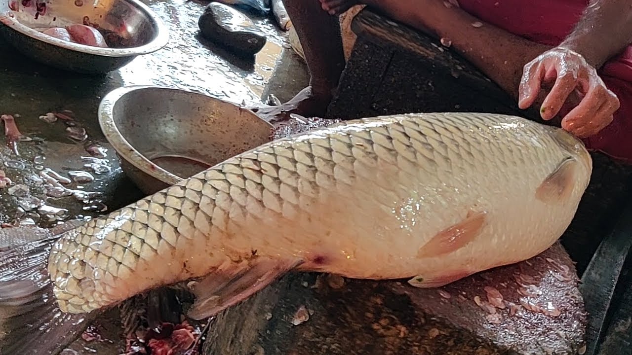 Amazing Fishing Cut. Big Grass Carp Fish Cutting Live In Fish Market ...