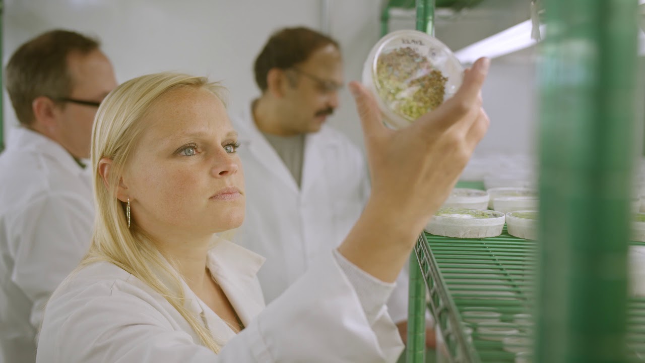 The RIPE Project Trailer - YouTube