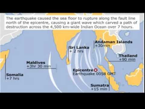 Animation-Tsunami Guide - YouTube