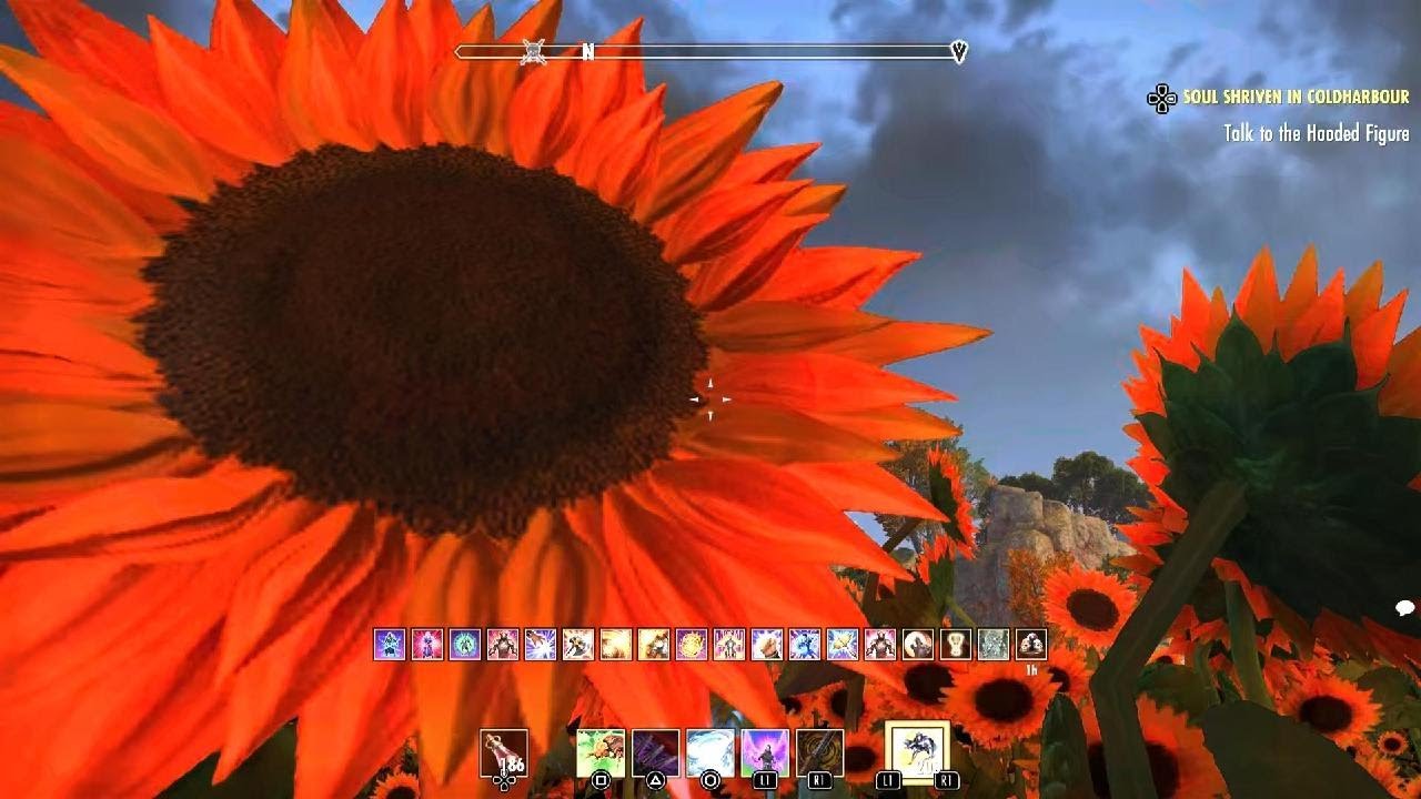 The Elder Scrolls Online Luminous Meridian Charger New radiant apex ...