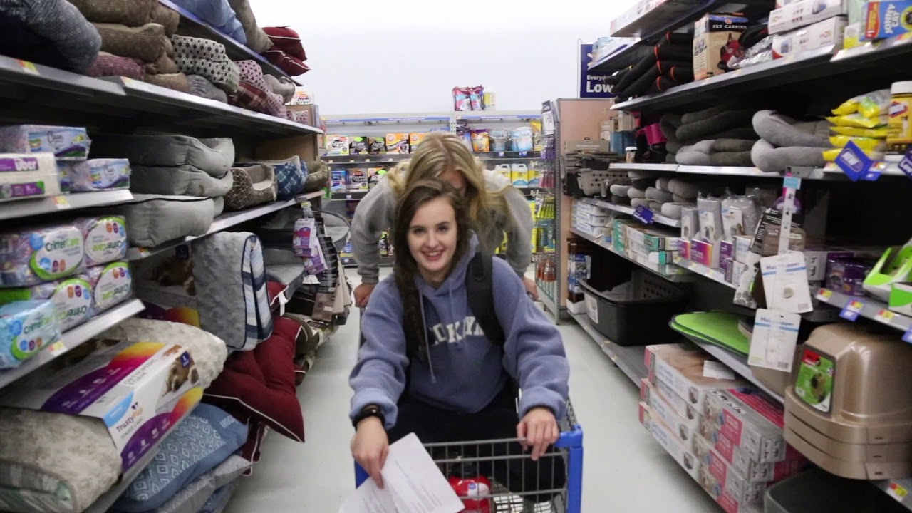 Phava's Declassified Alien Survival Guide - YouTube