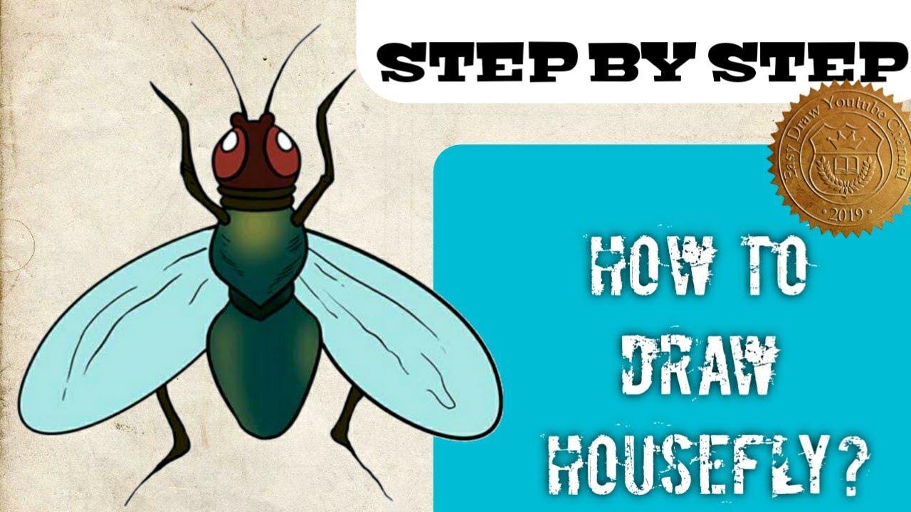 How To Draw A Housefly Drawing Housefly For Kids easy draw YouTube how-to-draw-a-housefly-drawing-housefly-for-kids-easy-draw-youtube