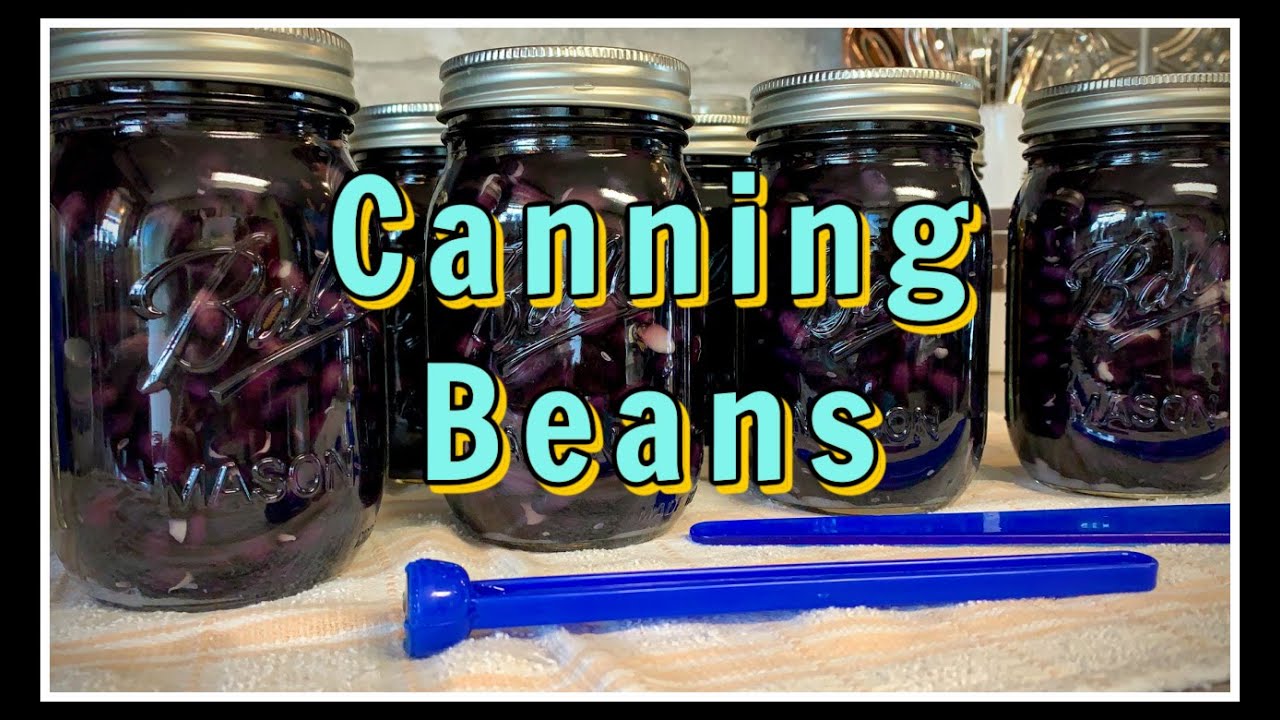 Canning Beans & How I Store My Jars! - YouTube