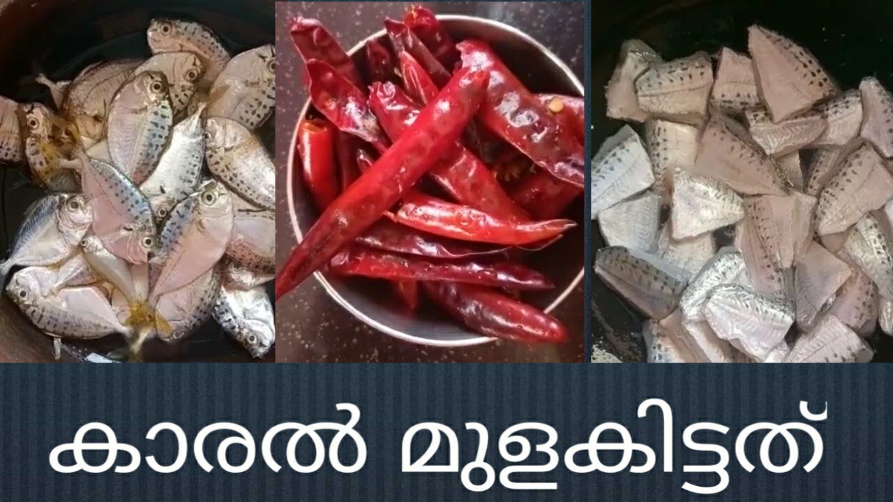 മീ൯ മുളകിട്ടത് by Amma | Fish Curry | Special Spicy Kerala Fish Curry ...