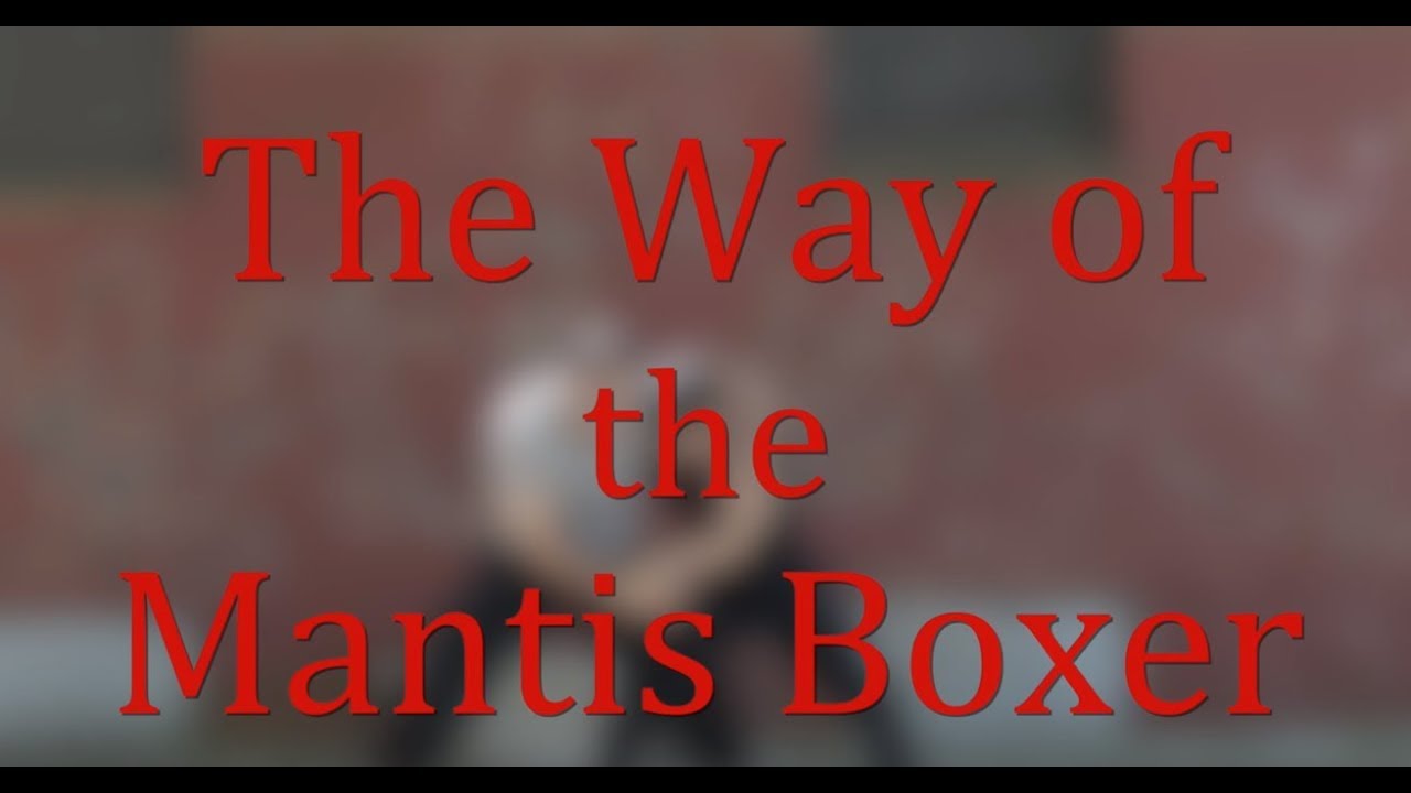 The Way of the Mantis Boxer - YouTube