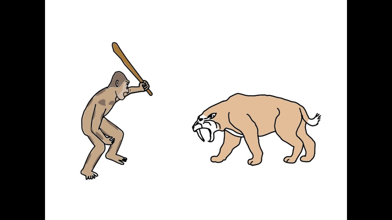 How human ancestors learned to walk on two legs - YouTube