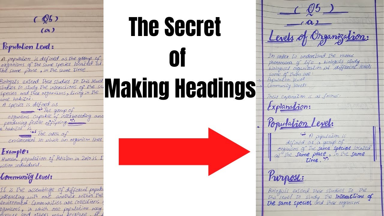How To Make Headings In Board Exams I Secret Of Making Headings I how-to-make-headings-in-board-exams-i-secret-of-making-headings-i