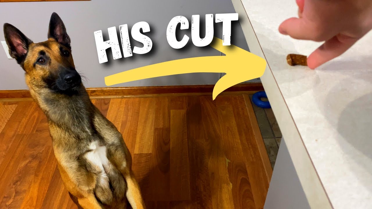 Refilling The MAGIC Treat Box - YouTube