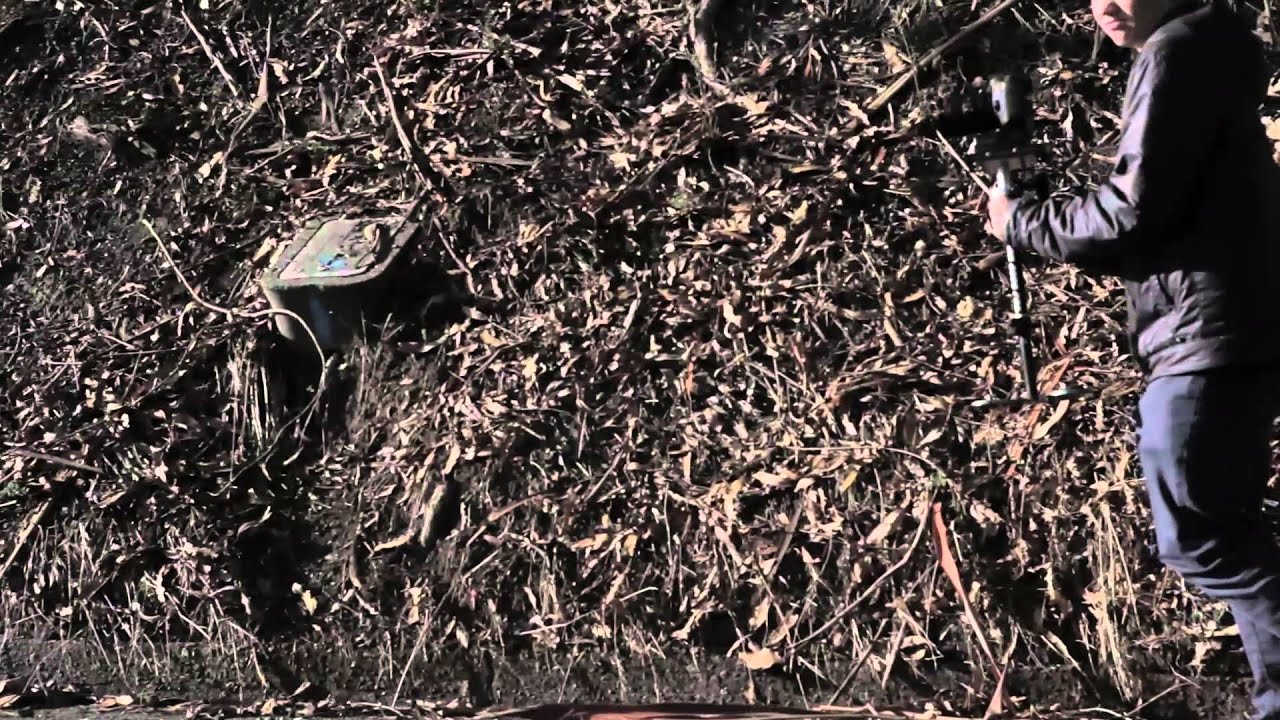 GATOR TRIKES - YouTube