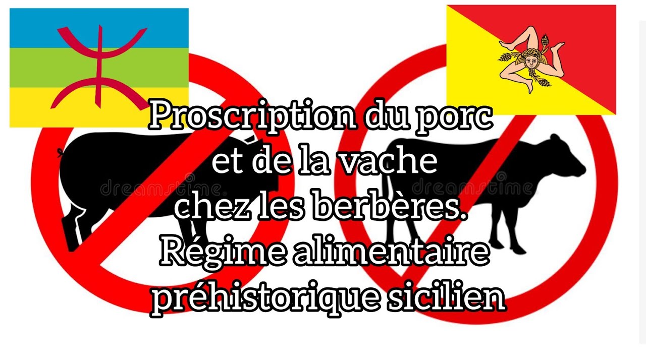 Série tiktok = Histoire de la Sicile EP4 : L'interdit du porc et de la ...