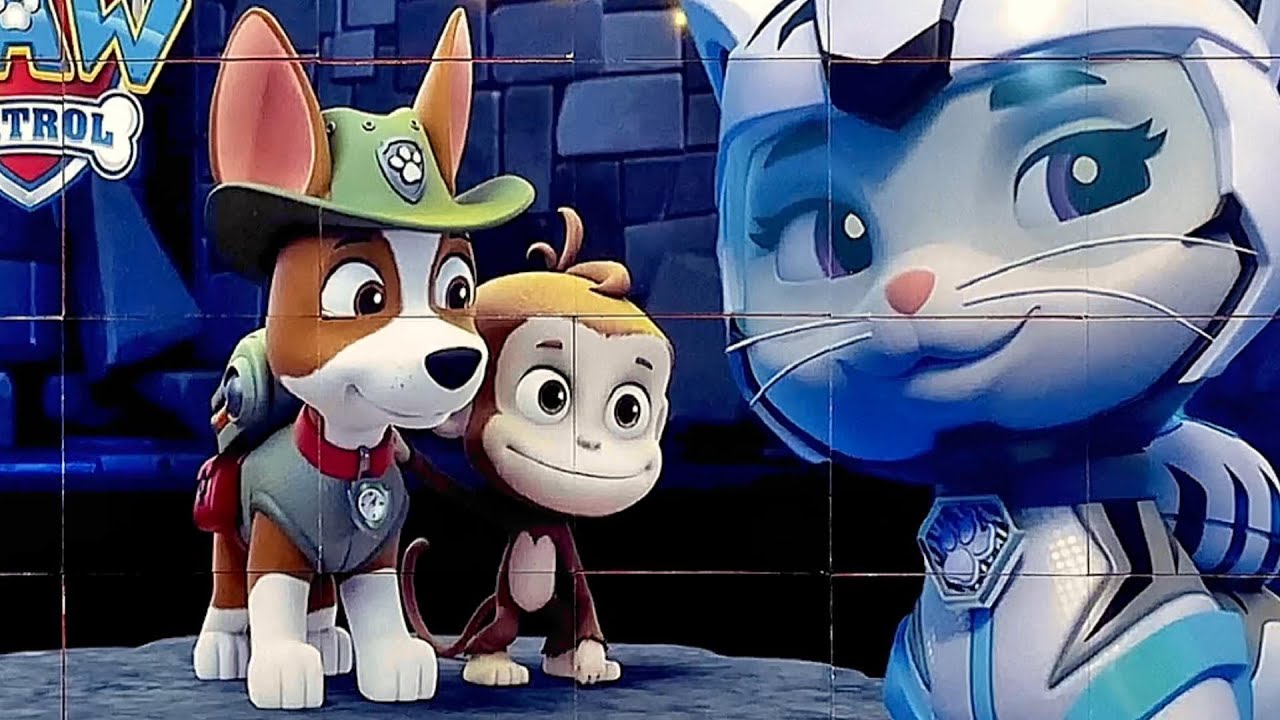 Cat Pack Rory Saves Leo and Tracker! | PAW Patrol | Puzzle for kids and ...