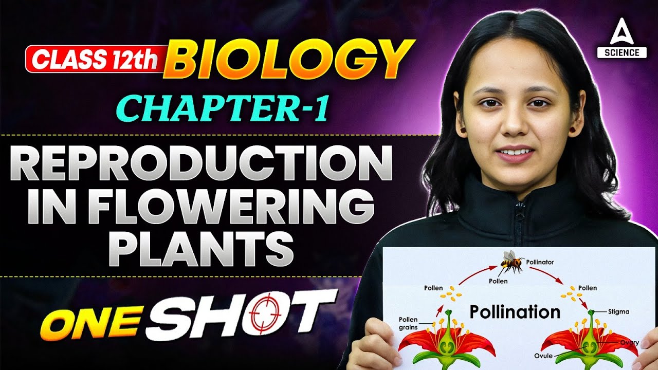 Sexual Reproduction in Flowering Plants One Shot | Class 12 Biology ...