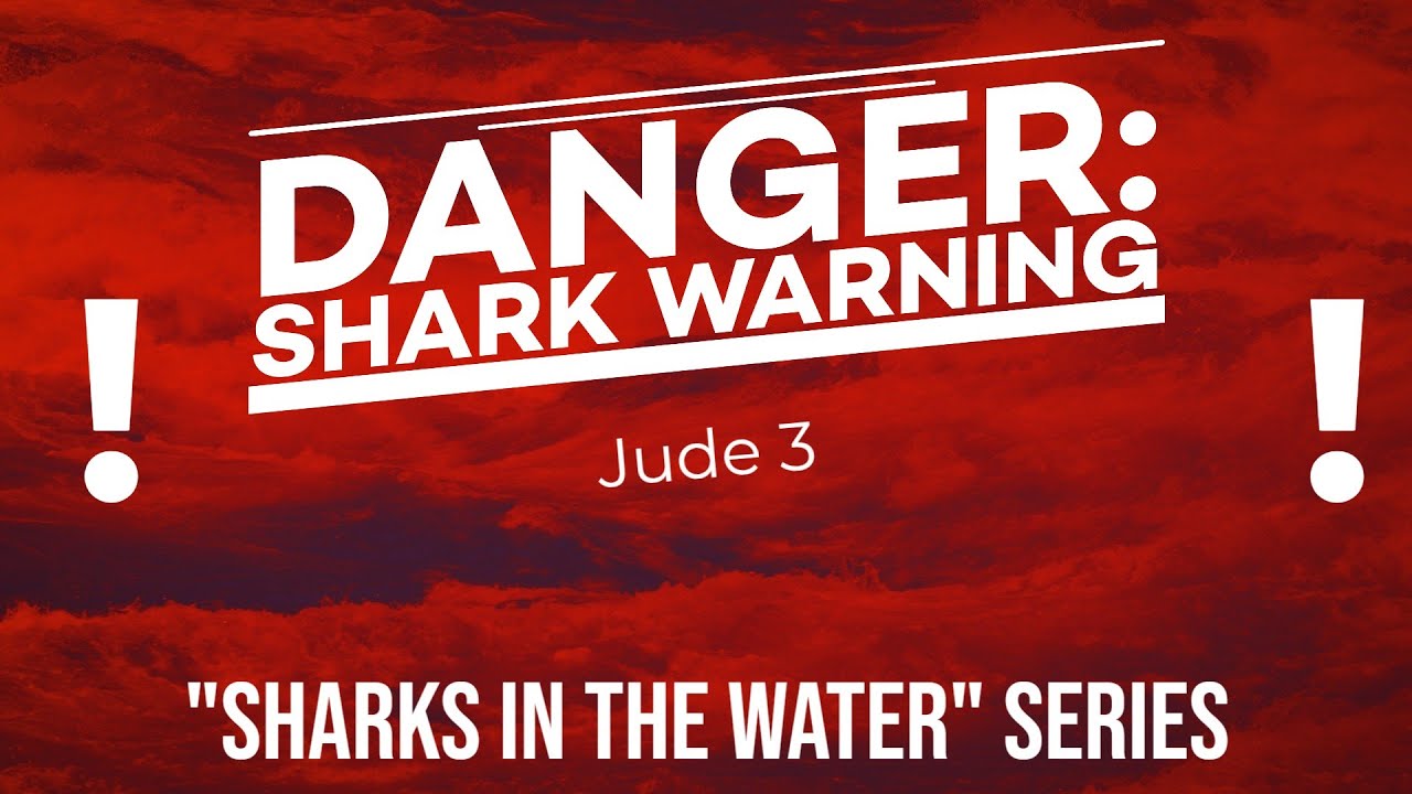 Danger: Shark Warning - YouTube