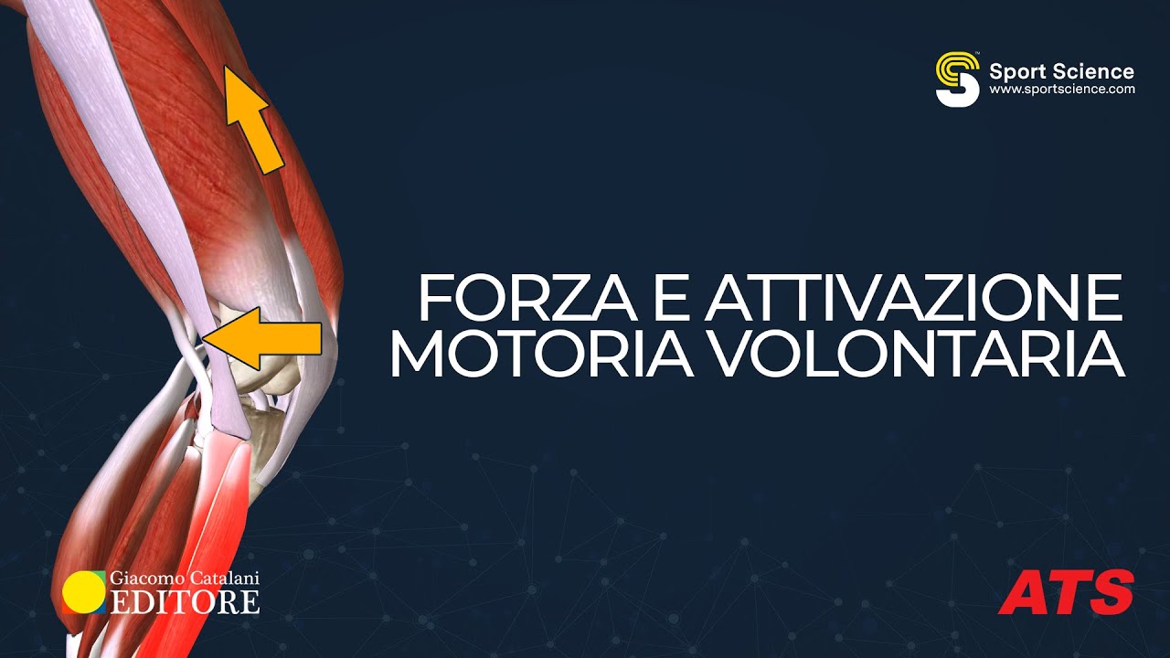 Forza e attivazione motoria volontaria - YouTube