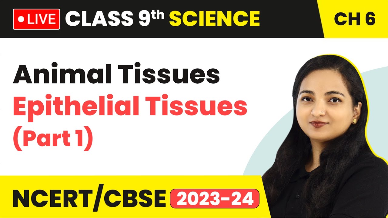 Animal Tissues - Epithelial Tissues (Part 1) | Class 9 Science Chapter ...