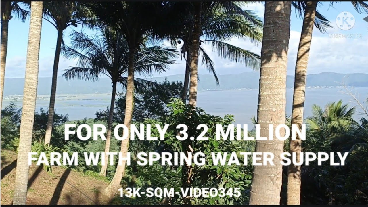 #FARM WITH SPRING WATER SUPPLY #ALONG THE ROAD - YouTube