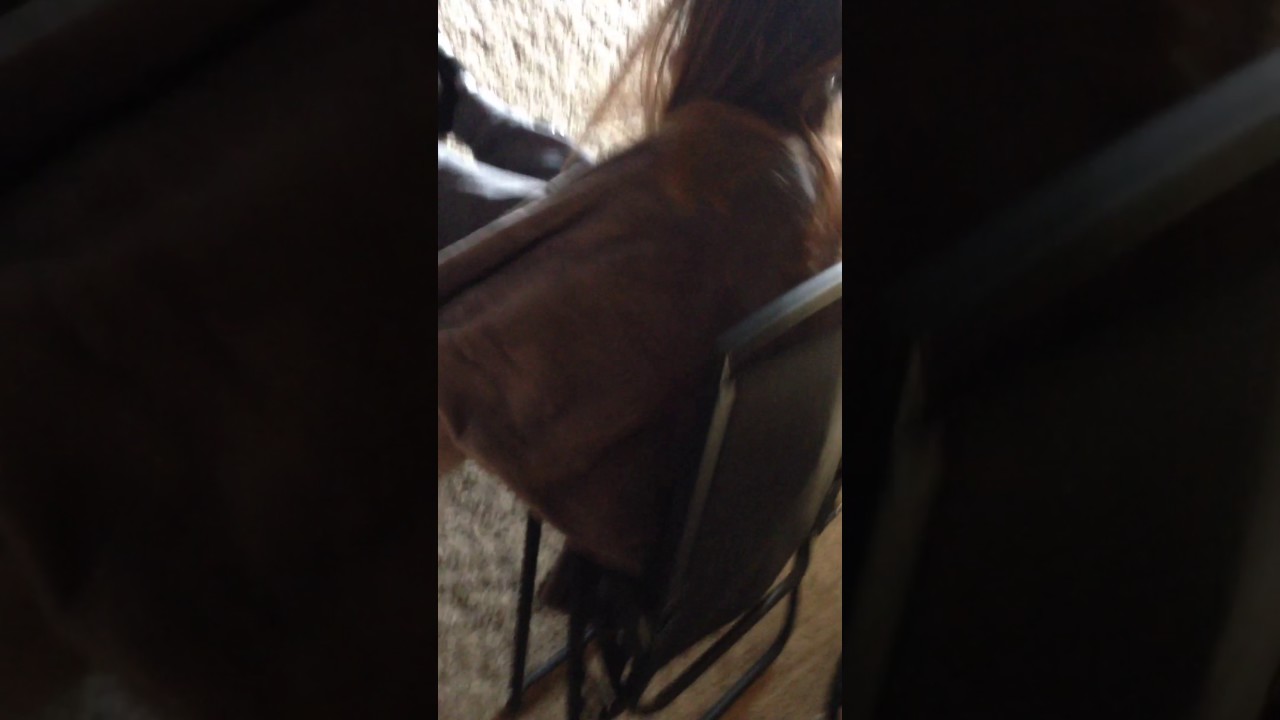 She Got Stuck In A Folding Chair Lol Youtube