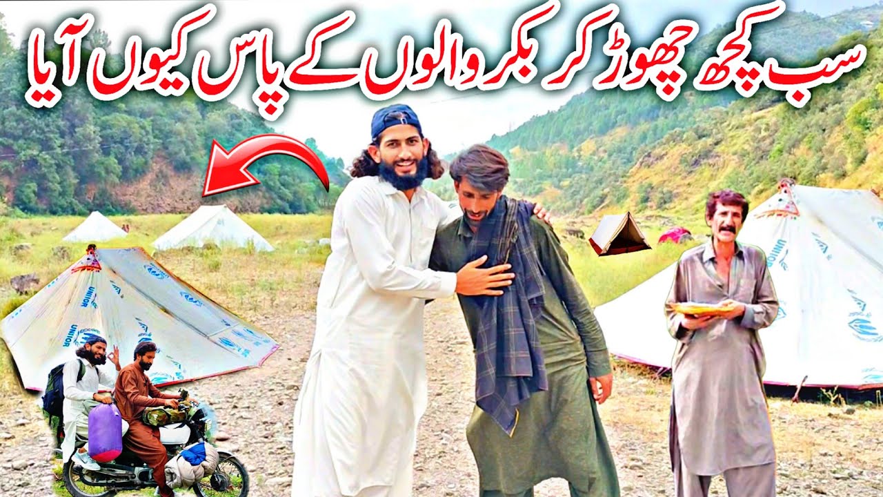 🐏 Started New Journey With Bakarwal | Nomadic Life In Kashmir - YouTube