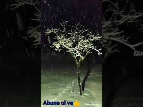 Qarın yagmasını hezin melodiyaya qulaq asaraq izlemek