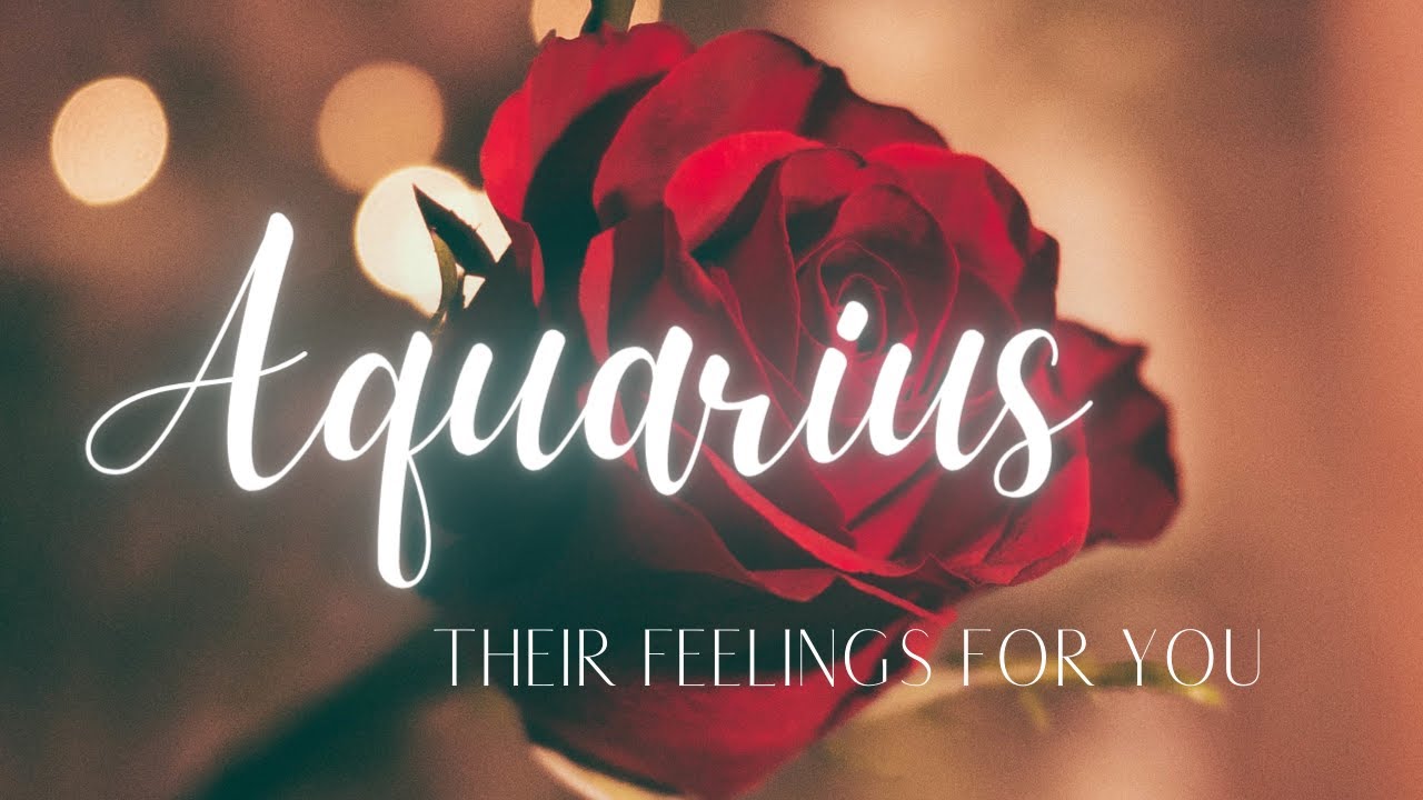 AQUARIUS LOVE TODAY - THIS IS WHAT THEY NEED YOU TO KNOW!! SOULMATES ...