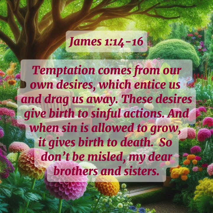 Temptation comes from our own desire - YouTube