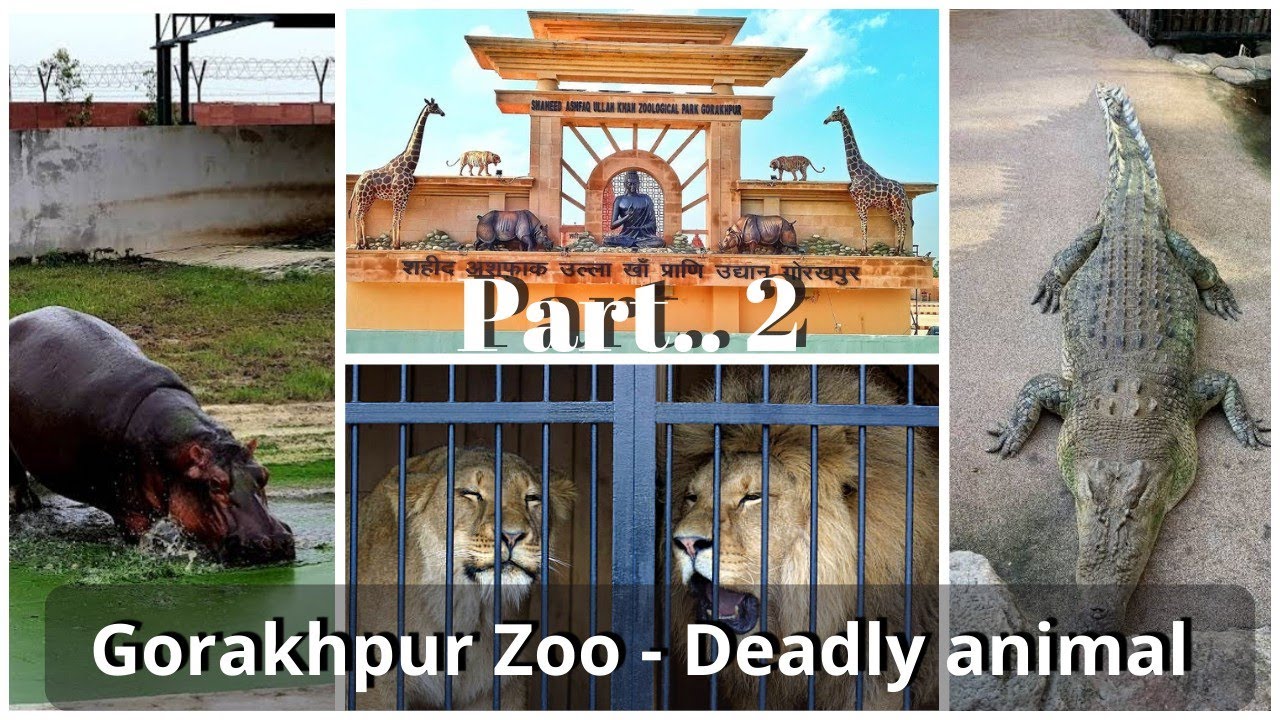 Gorakhpur Zoo | Deadly Animal | Shaheed Ashfaq Ullah Khan Zoological ...