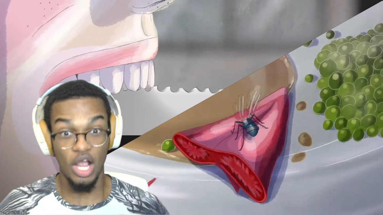 Grandpa Needs Some New Dentures: Teeth Horror Reactions - YouTube