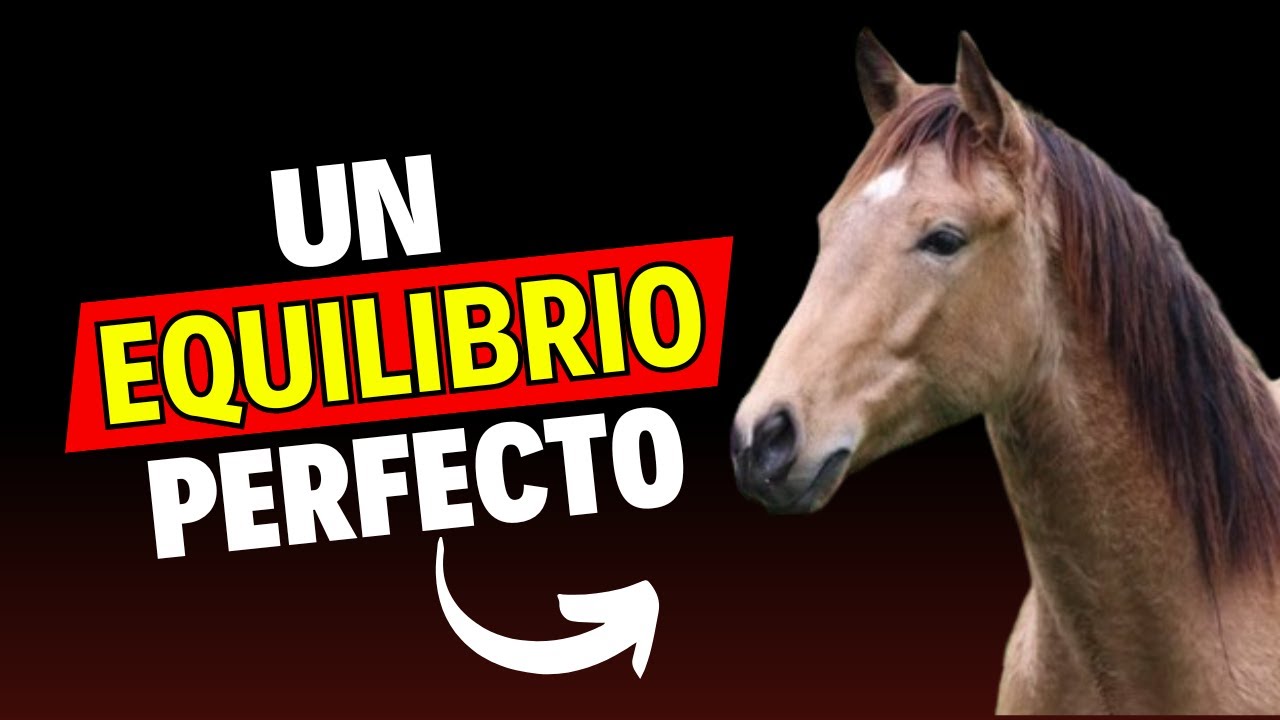 El Caballo Raza Azteca 100% Mexicano - YouTube