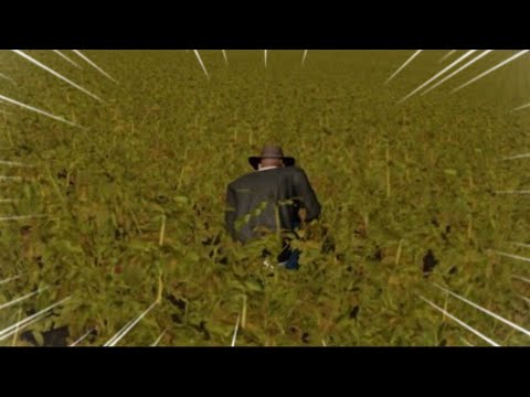 We became cotton pickers (Farming Simulator 22) - YouTube