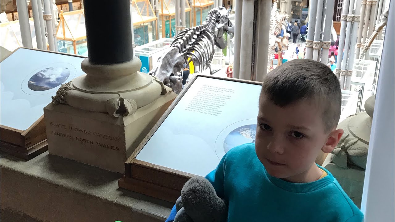 Deni in Oxford University Museum of Natural History - YouTube