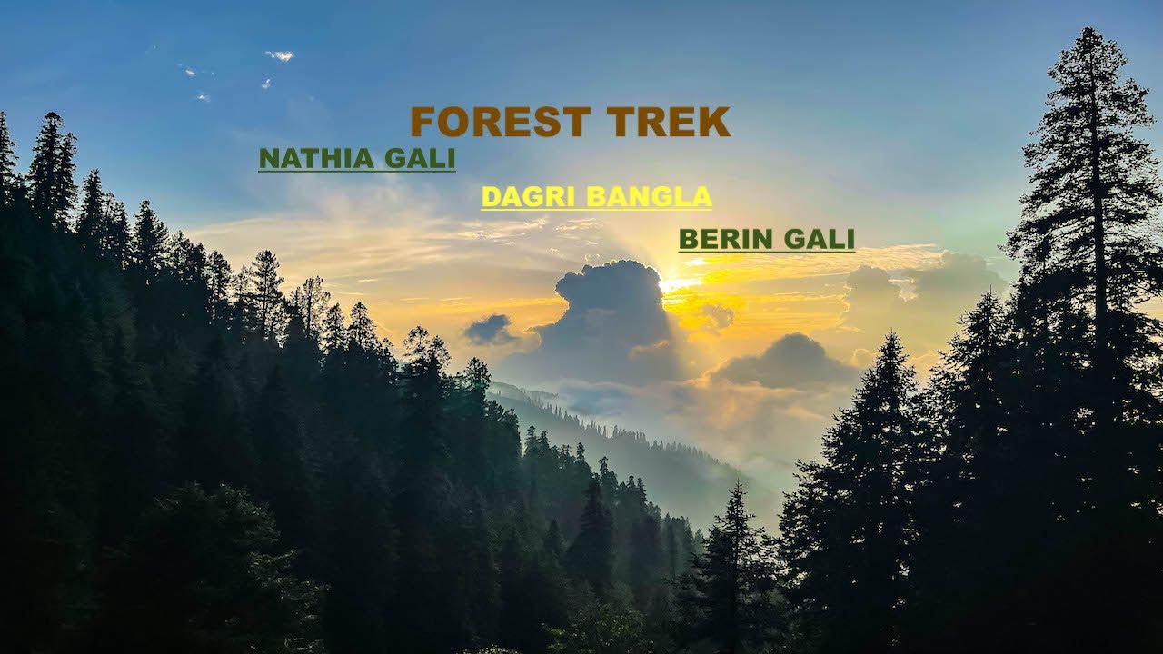 NATHIA GALI - BEERAN GALI -THANDIANI FOREST TREK - YouTube