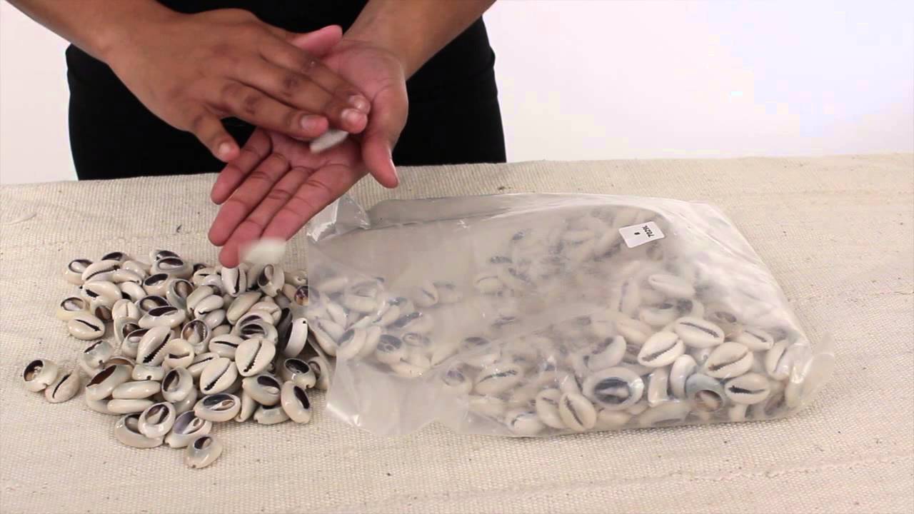 1 Kilo bag of cut Kenyan cowrie shells from Africa Imports - YouTube