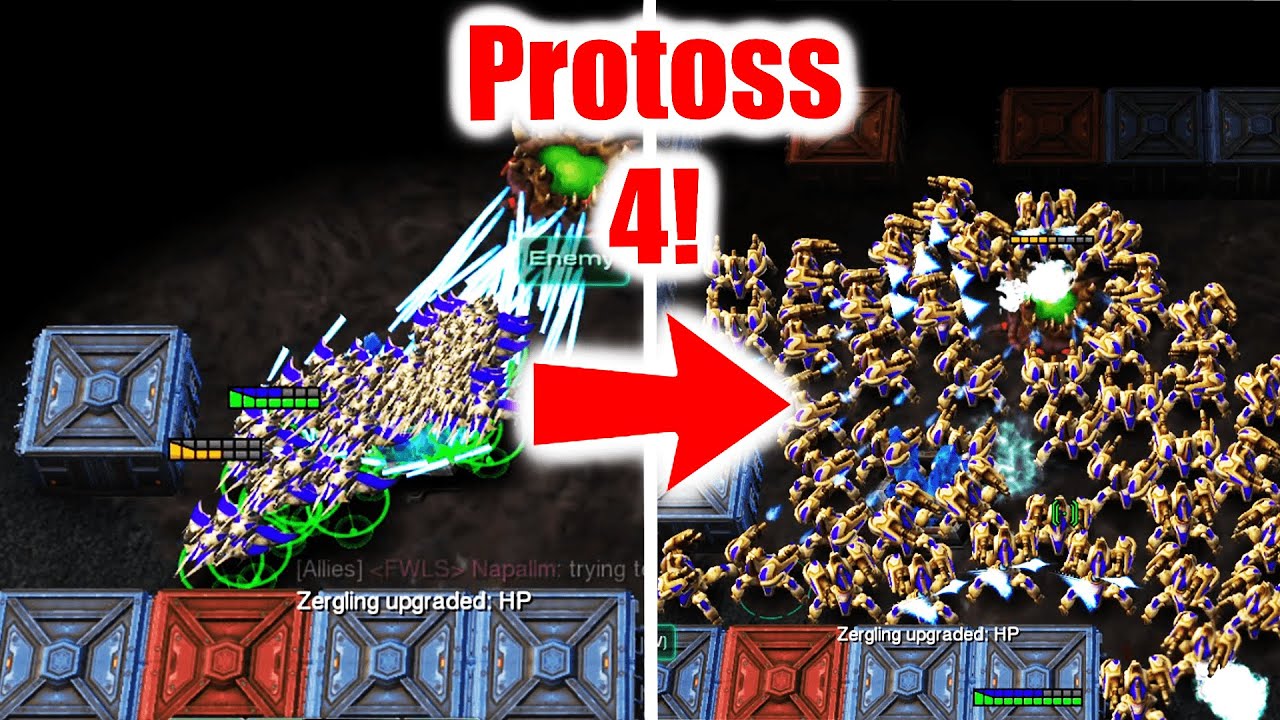 Protoss worshipper is INSANE!! (Phoenix turns to immortal) /Maze and ...