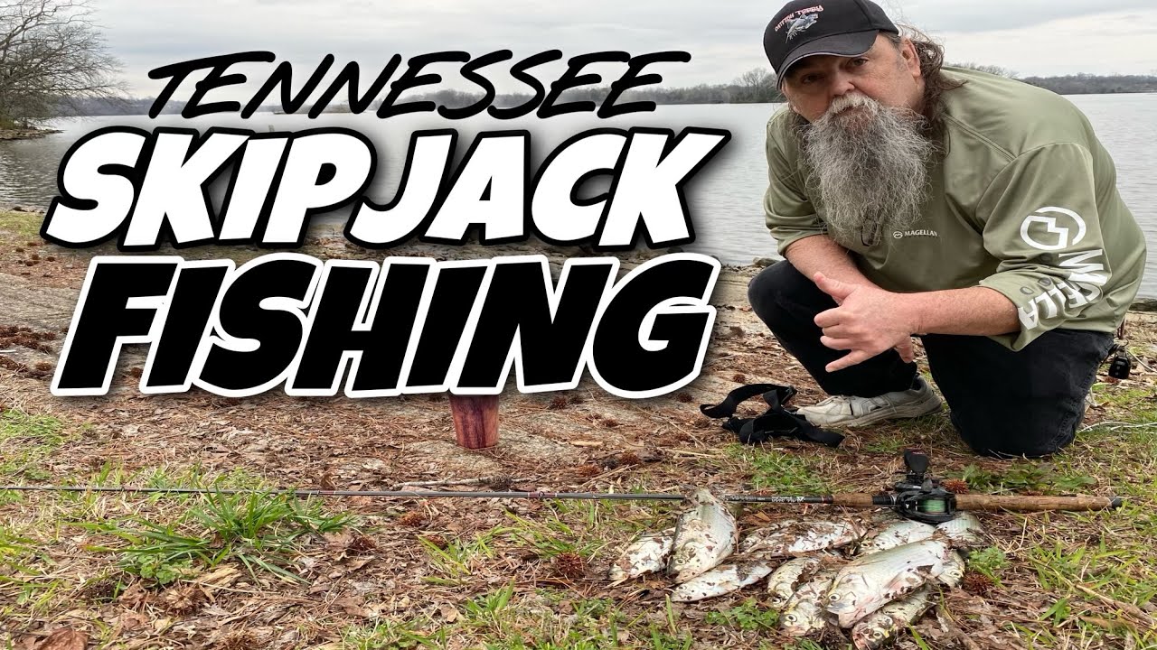 Fishing Tennessee Skipjacks - YouTube