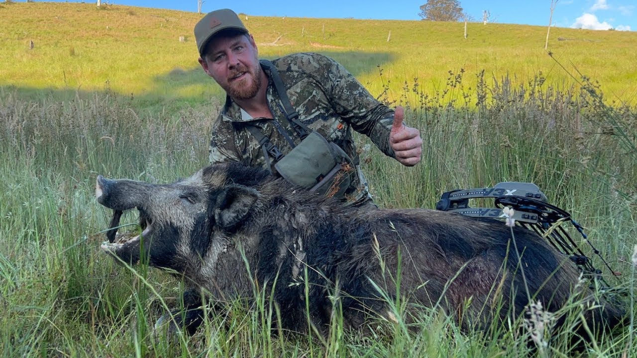 BOWHUNTING MOUNTAIN BOARS!!! - YouTube