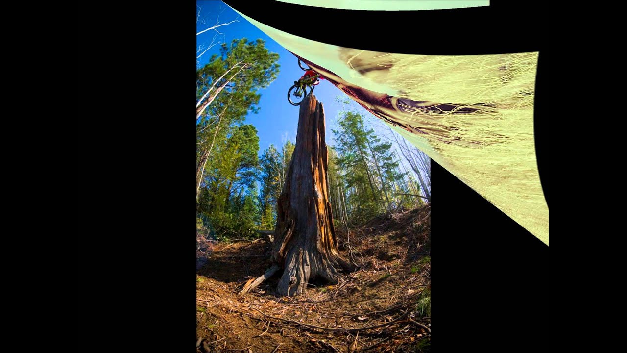 Data Romance - Levee Camp Holler (Ajay Bhattacharyya remix) Life cycles ...