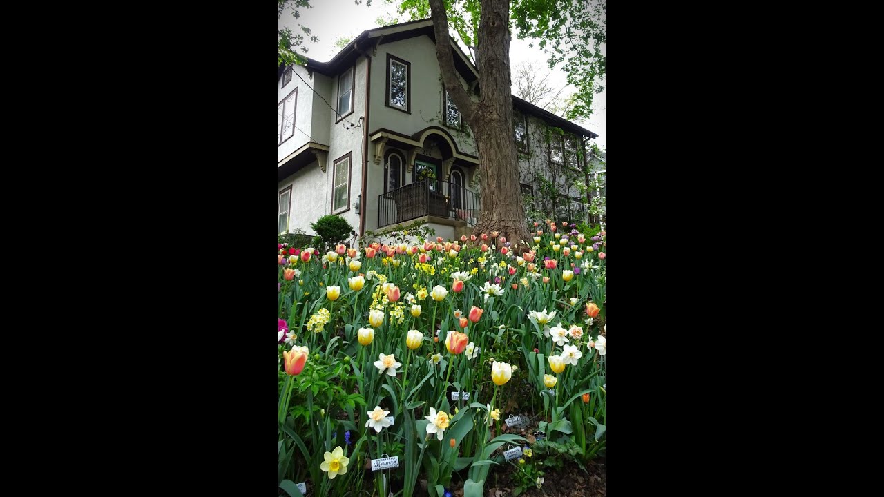 Garden-Lou Spotlights the Garden of Marcella Hawley and The Slope of ...