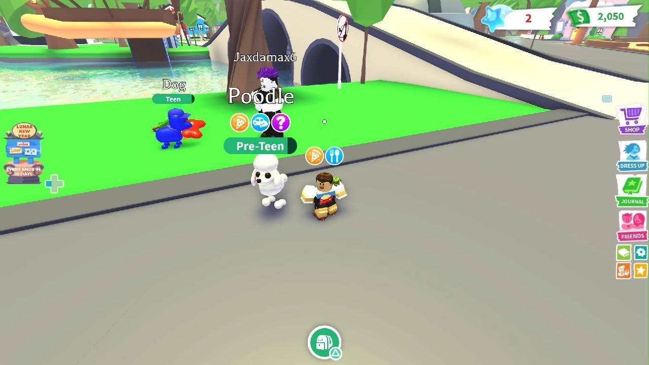 Roblox Adopt Me Lunar New Year Gameplay - YouTube