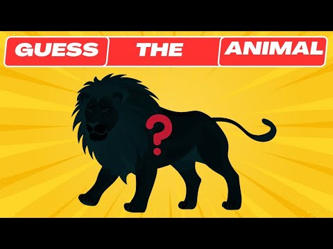 Guess the animal by shadow - Guess the animal quiz - YouTube