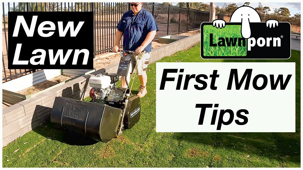 New Lawn? Tips for the FIRST MOW! - YouTube