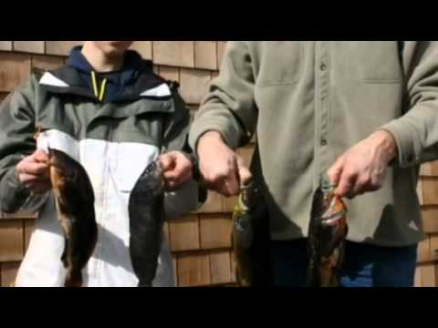 Rock Cod FIshing Northern California - YouTube