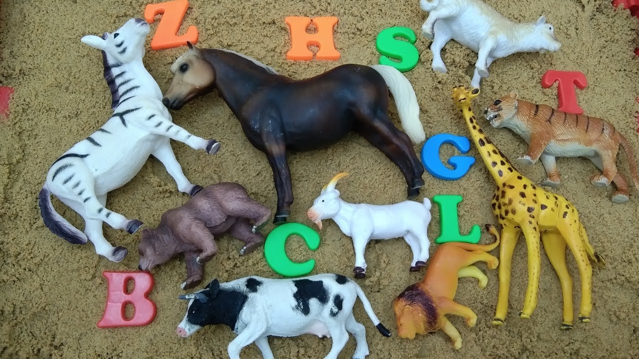 Animals Name for kids | animals for kids | animals learning | wild ...