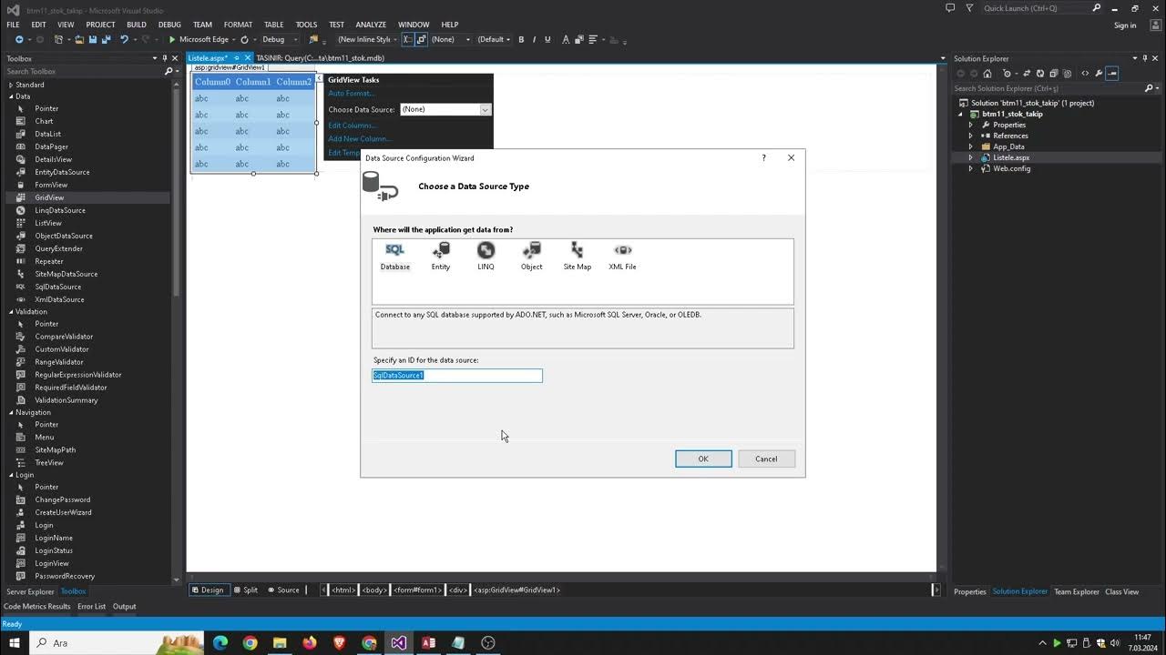 Visual Studio C#.Net ile Access veritabanındaki bir kaydın gridview nesnesinde listelenmesi ...