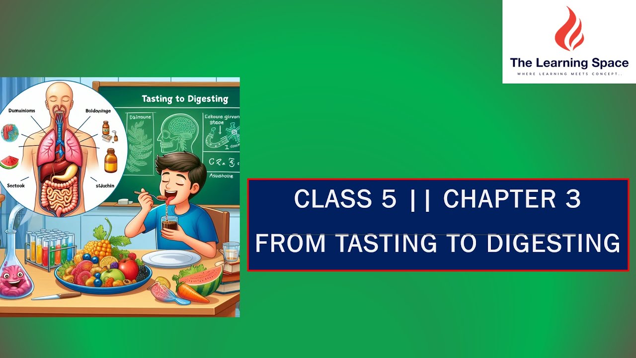 From Tasting to Digesting | Digestive System in Simple Words | Class 5 EVS | Chapter 3 | NCERT ...