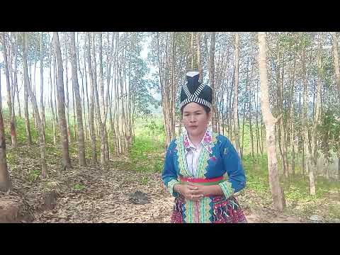 mab vaj zaj kwv txhiaj ntuag nkawm nawb - YouTube