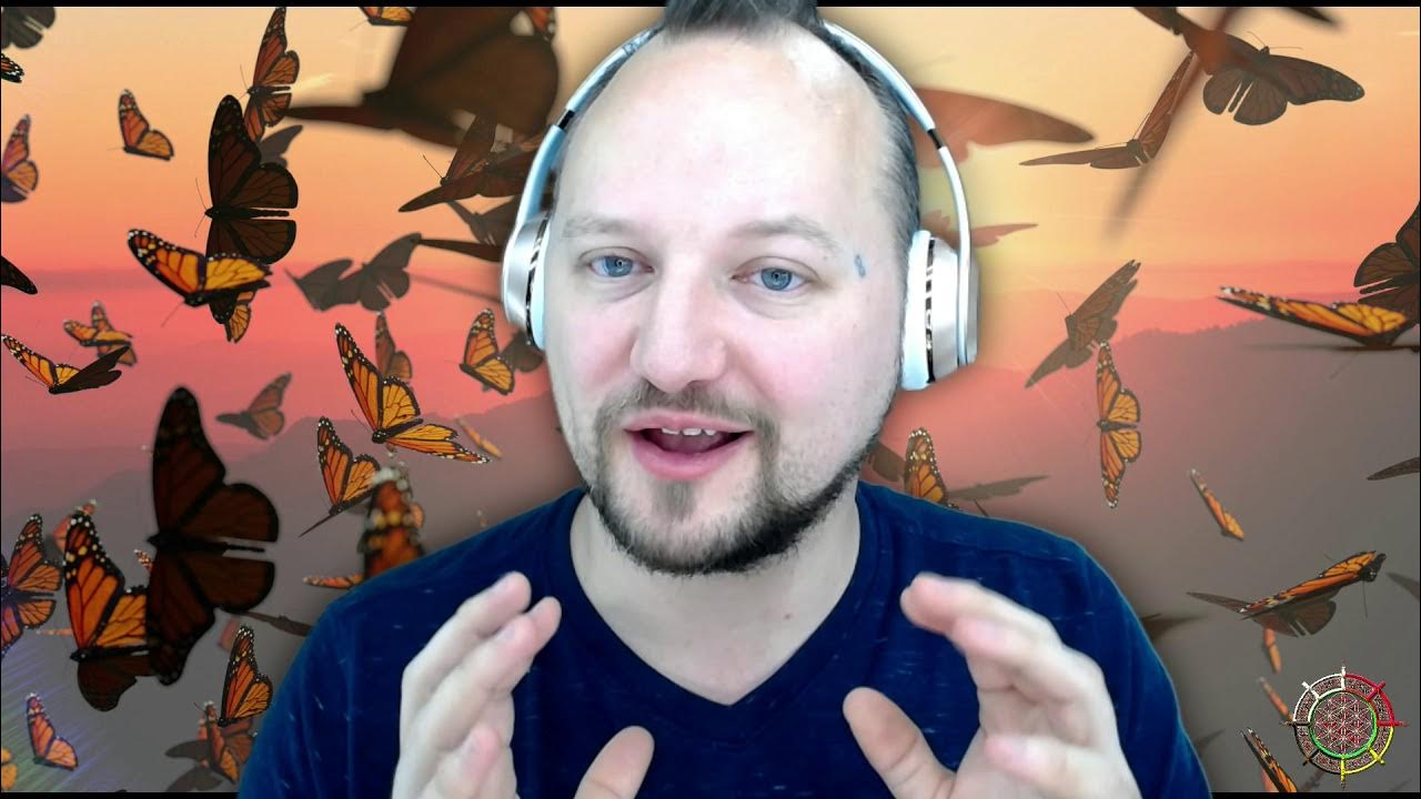 What Does The Butterfly Mean Spirit Animal Totems YouTube what-does-the-butterfly-mean-spirit-animal-totems-youtube