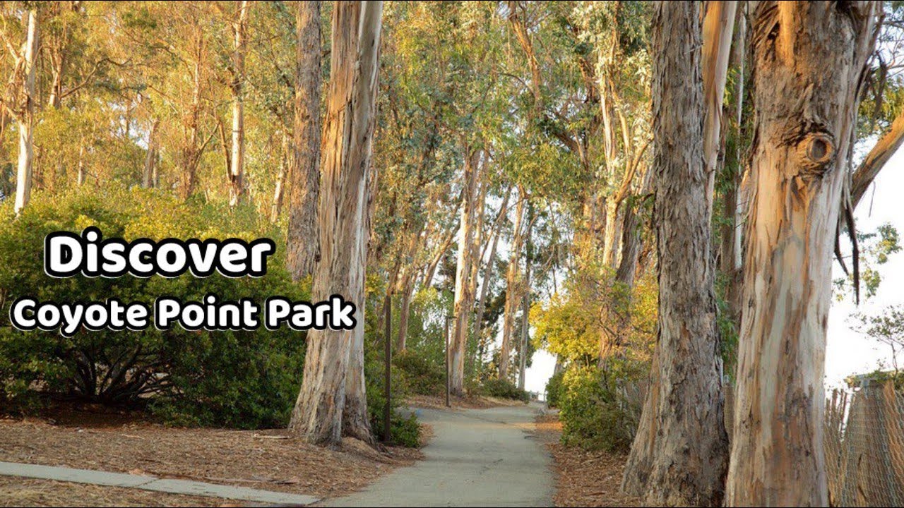 Discover Coyote Point Park Part 3: Hidden Gems and Fun Adventures in ...