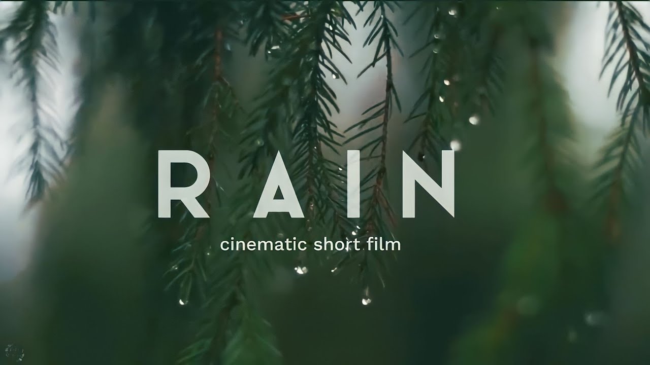 Rain cinematic short film || 2 min satisfying & relaxing rain film ...