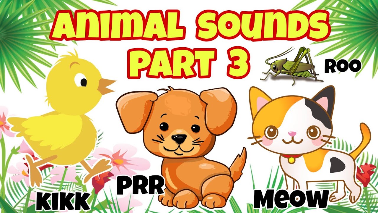 Animal sounds part 3 | the sounds of animals for kids - YouTube