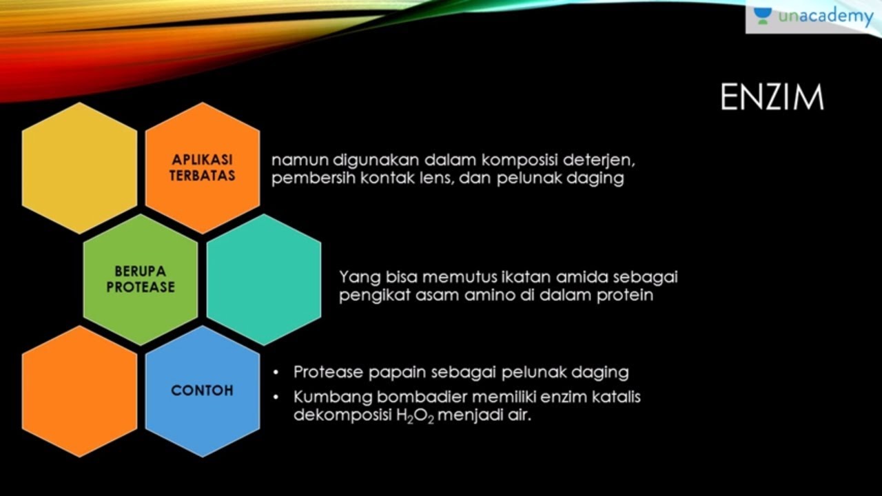 Mekanisme Reaksi dan Katalis (Kimia): Enzim - YouTube